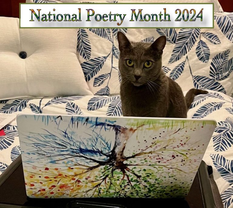 April 6 - Alison Stone – Gyroscope Review